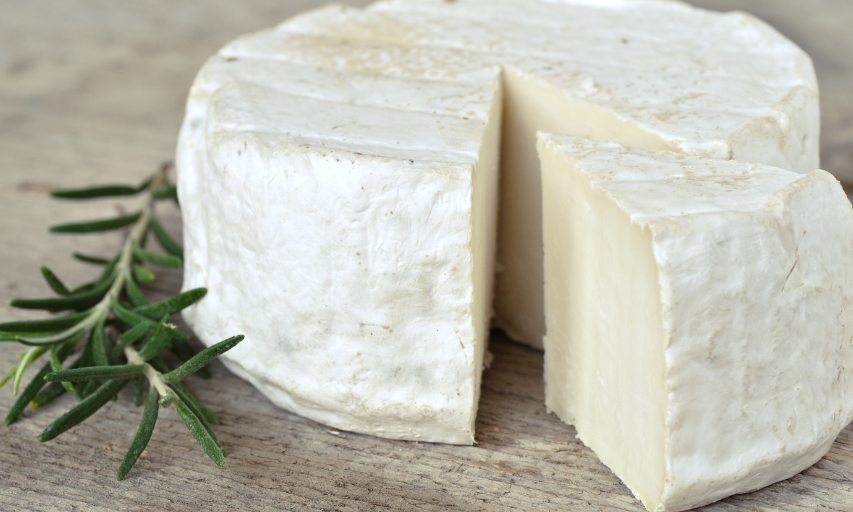 A Flavorful Journey — Frankenmuth Cheese Haus